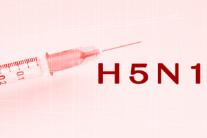 Emerging Infectious Diseases – Department of Public Health